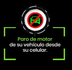 inicio - GPS Para Autos